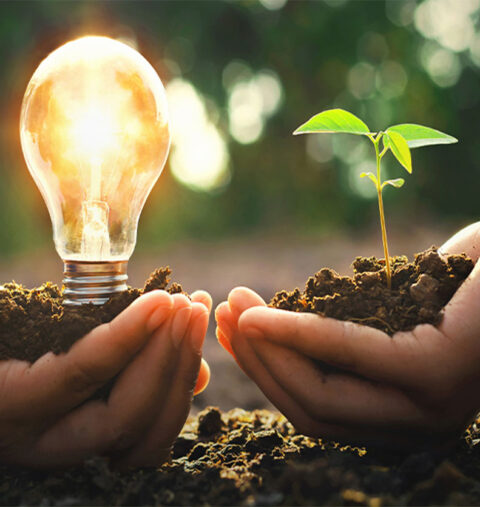 Waste Disposal Services | Ontario, Canada | U-Pak Disposals